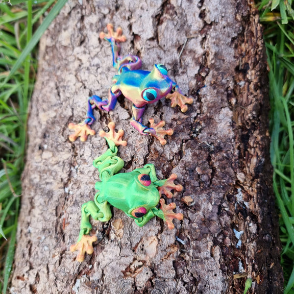 Frogs - Articulated Fidget Nature Toy – Salt Spring Gifts
