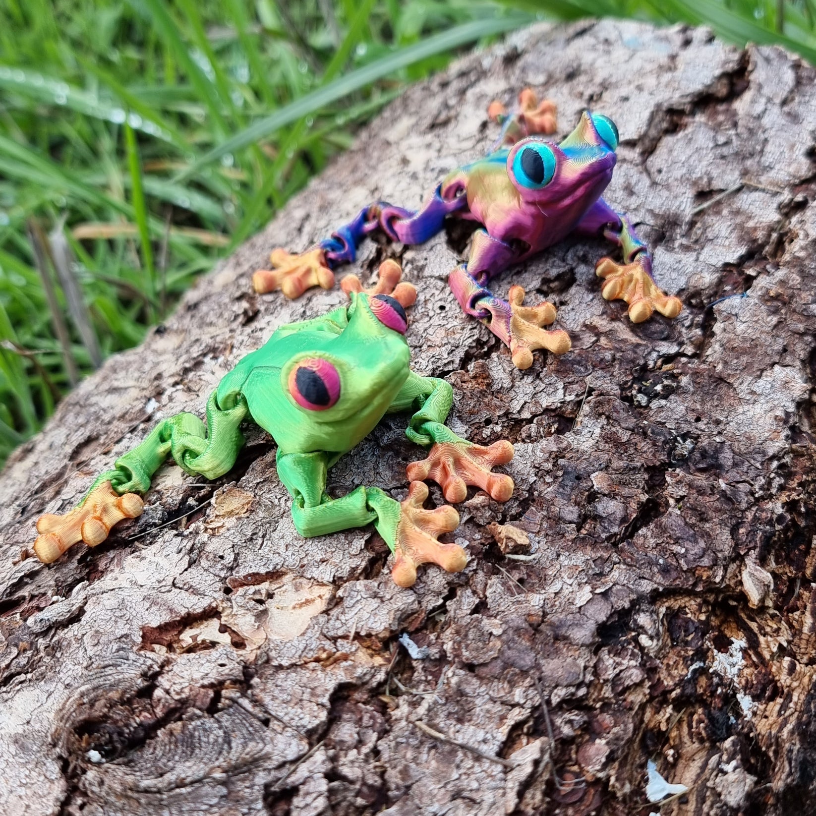 Frogs - Articulated Fidget Nature Toy – Wonderful 3D Art