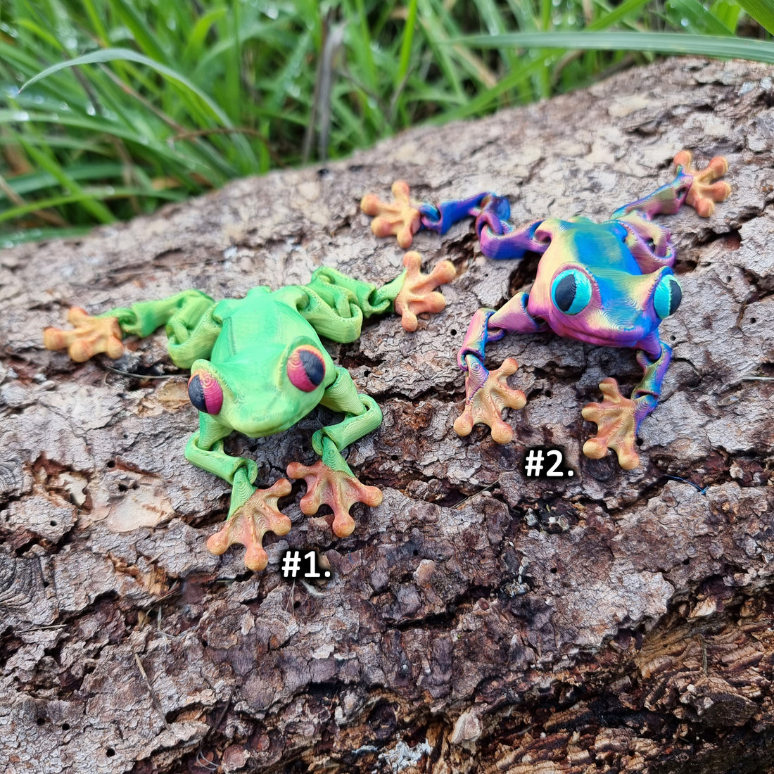 Frogs - Articulated Fidget Nature Toy – Salt Spring Gifts